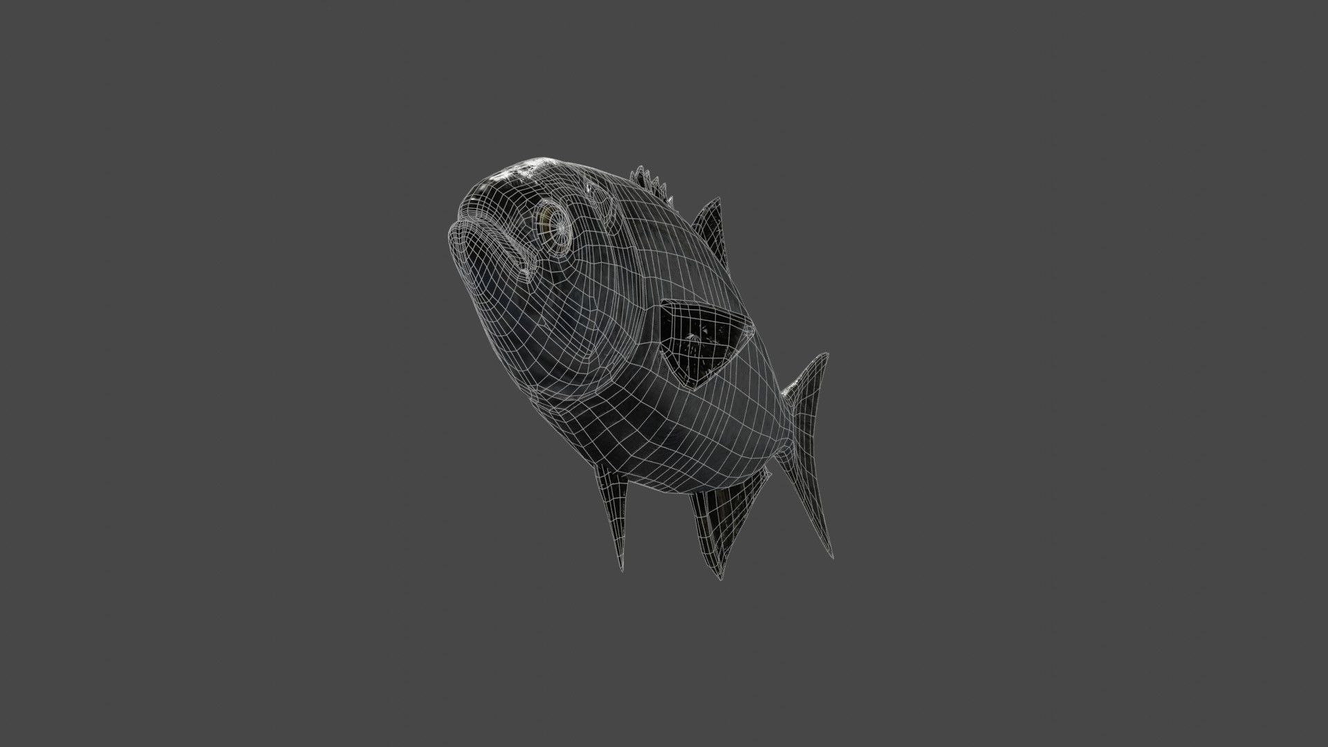 Fish 3D Model - TurboSquid 1826358