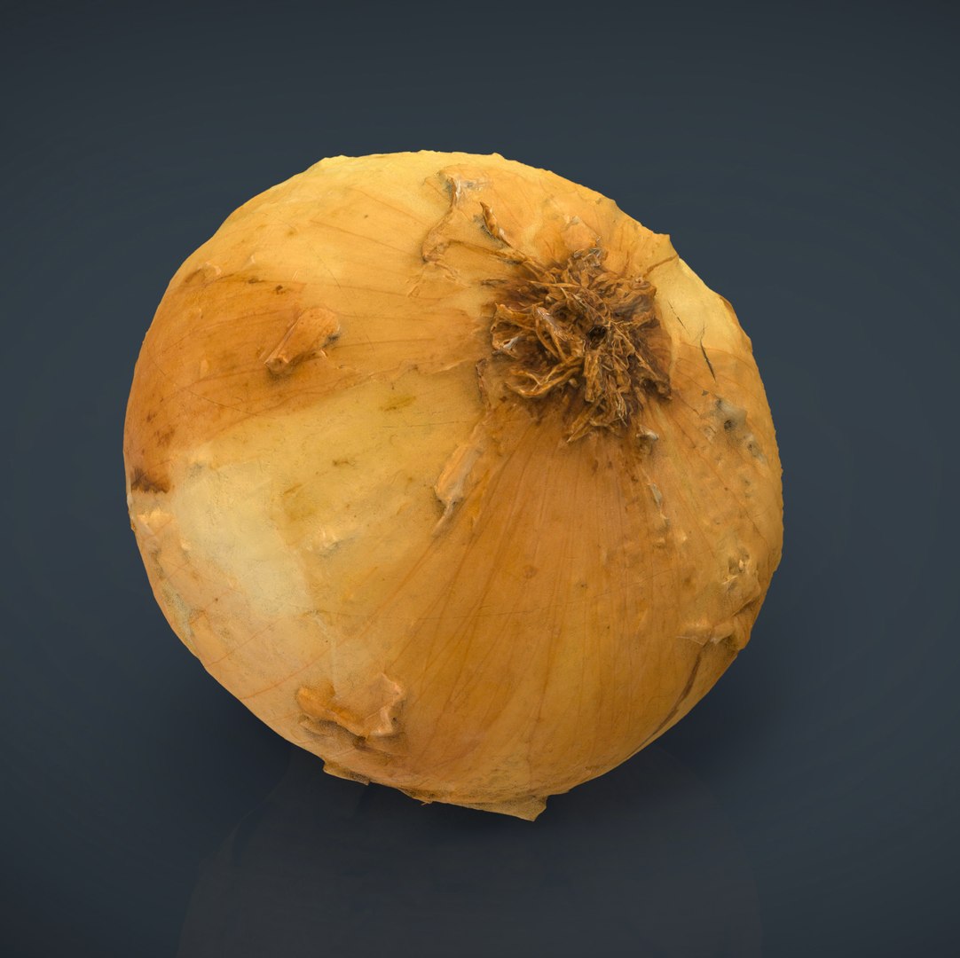 Onion 3d Model
