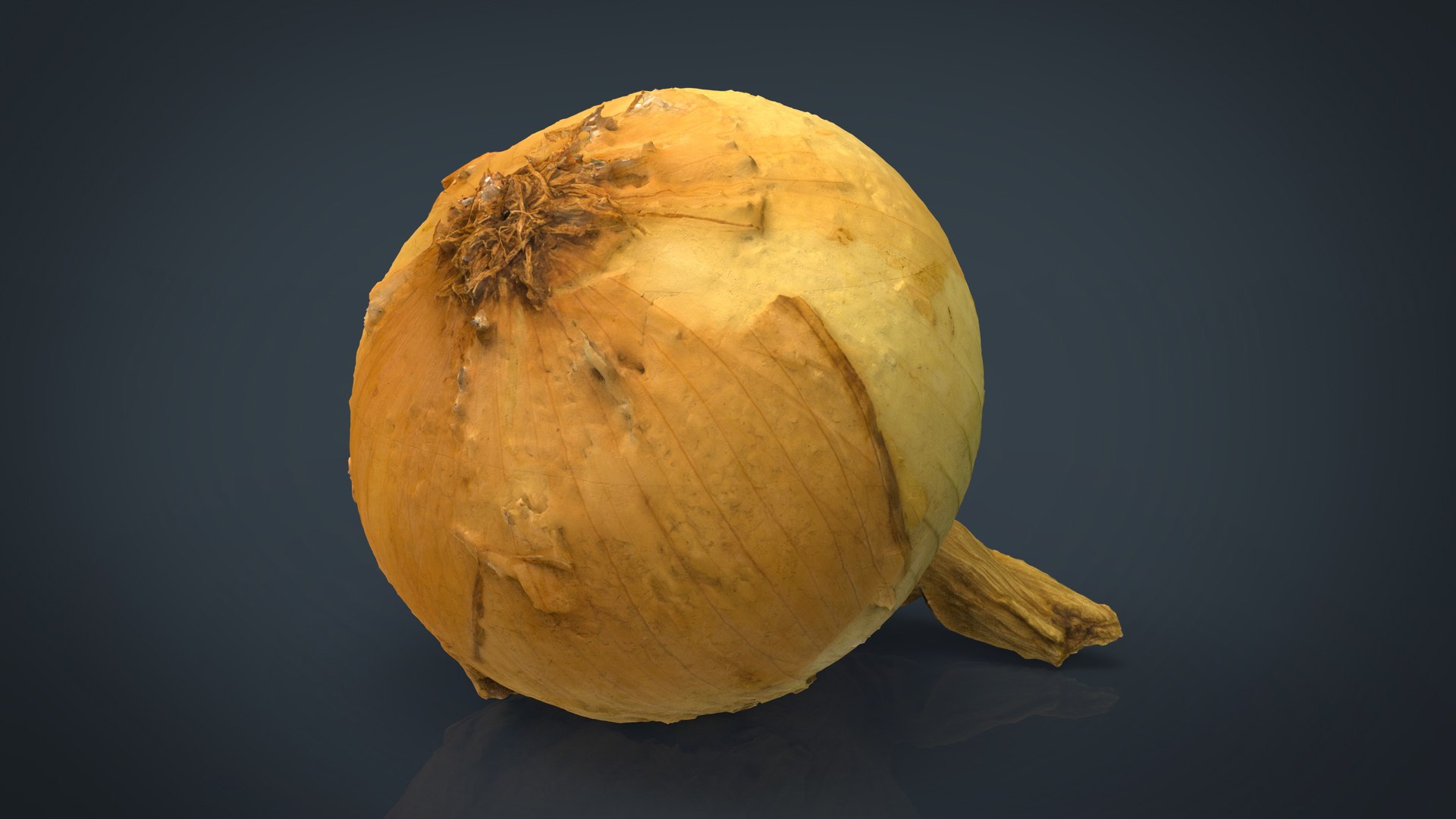 Onion 3d Model