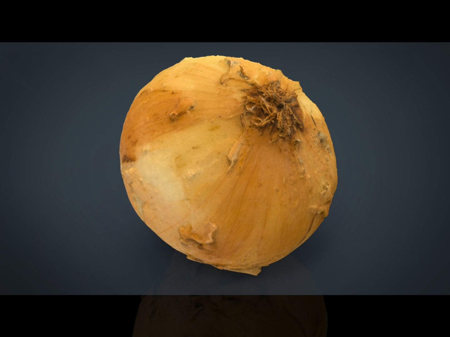 Onion 3d Model