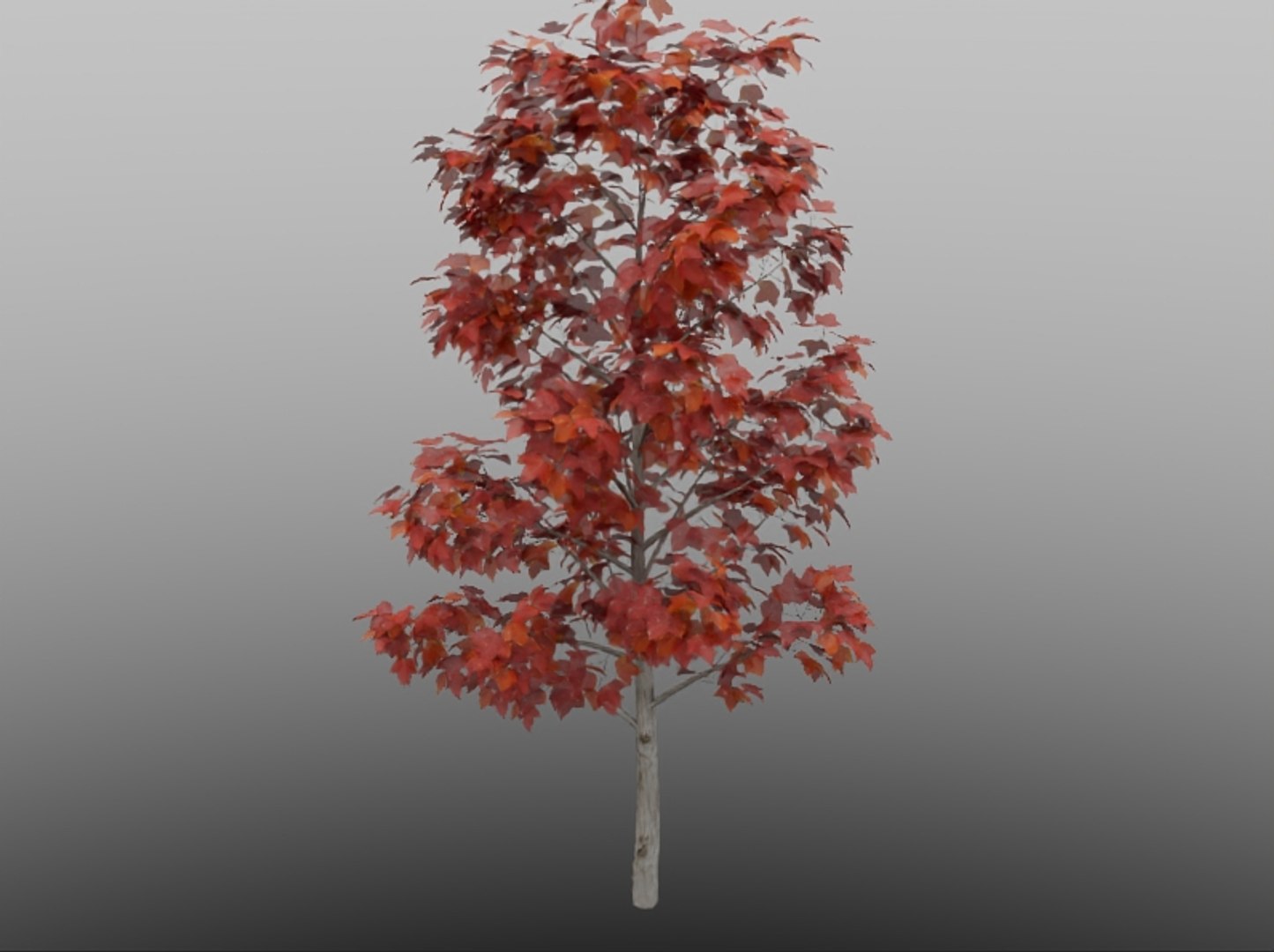 Green Plant Model Of Red Maple Leaves 3D Model - TurboSquid 2379976