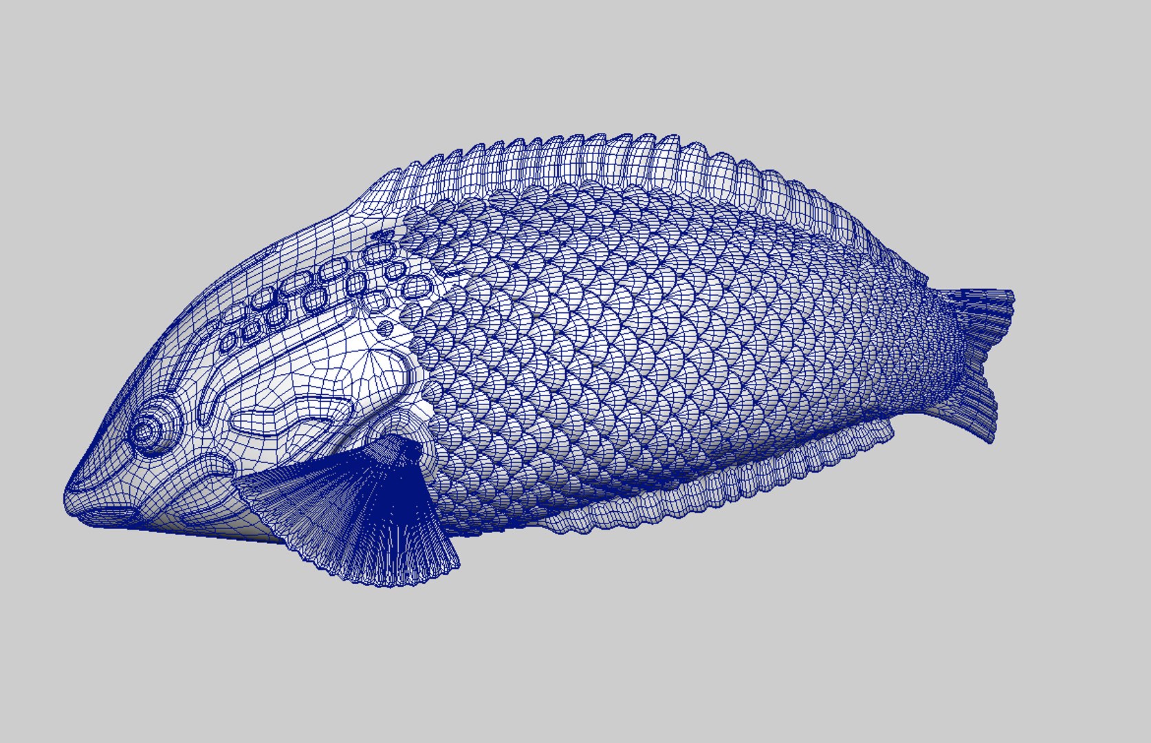 Free Obj Mode Checkerboard Wrasse Tropical Fish
