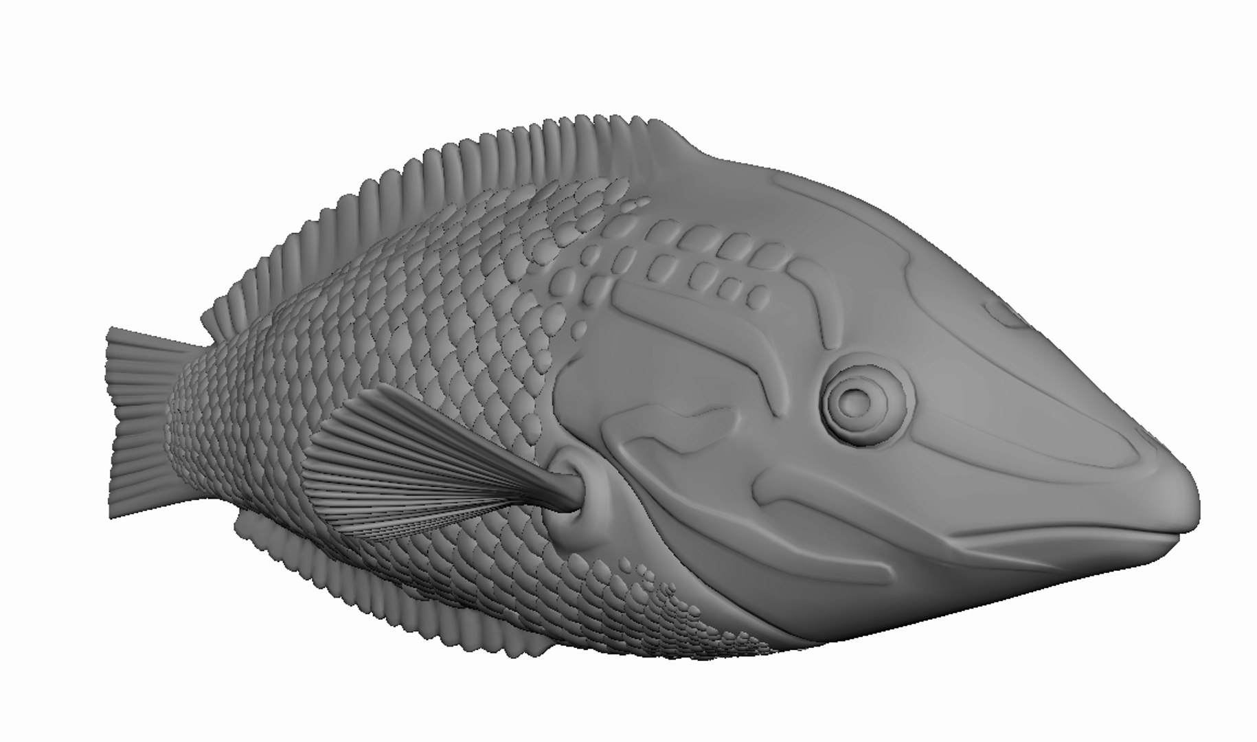 Free Obj Mode Checkerboard Wrasse Tropical Fish
