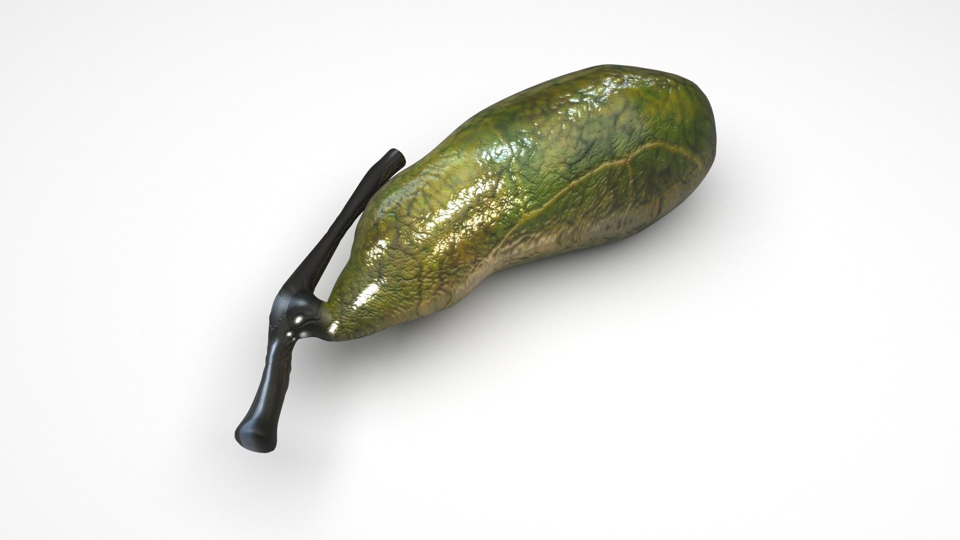 3D Gallbladder Model - TurboSquid 2267349