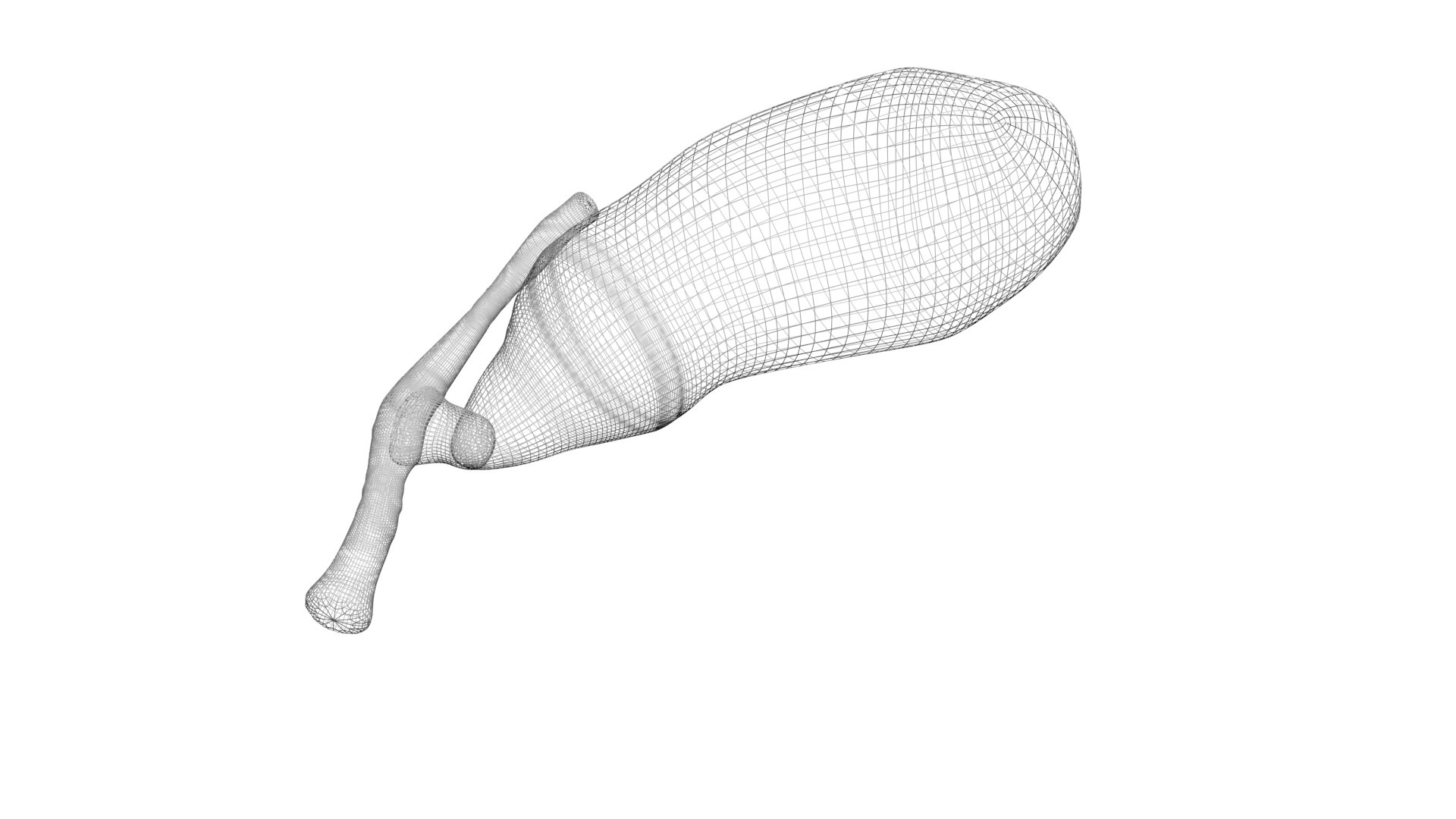 3D Gallbladder Model - TurboSquid 2267349