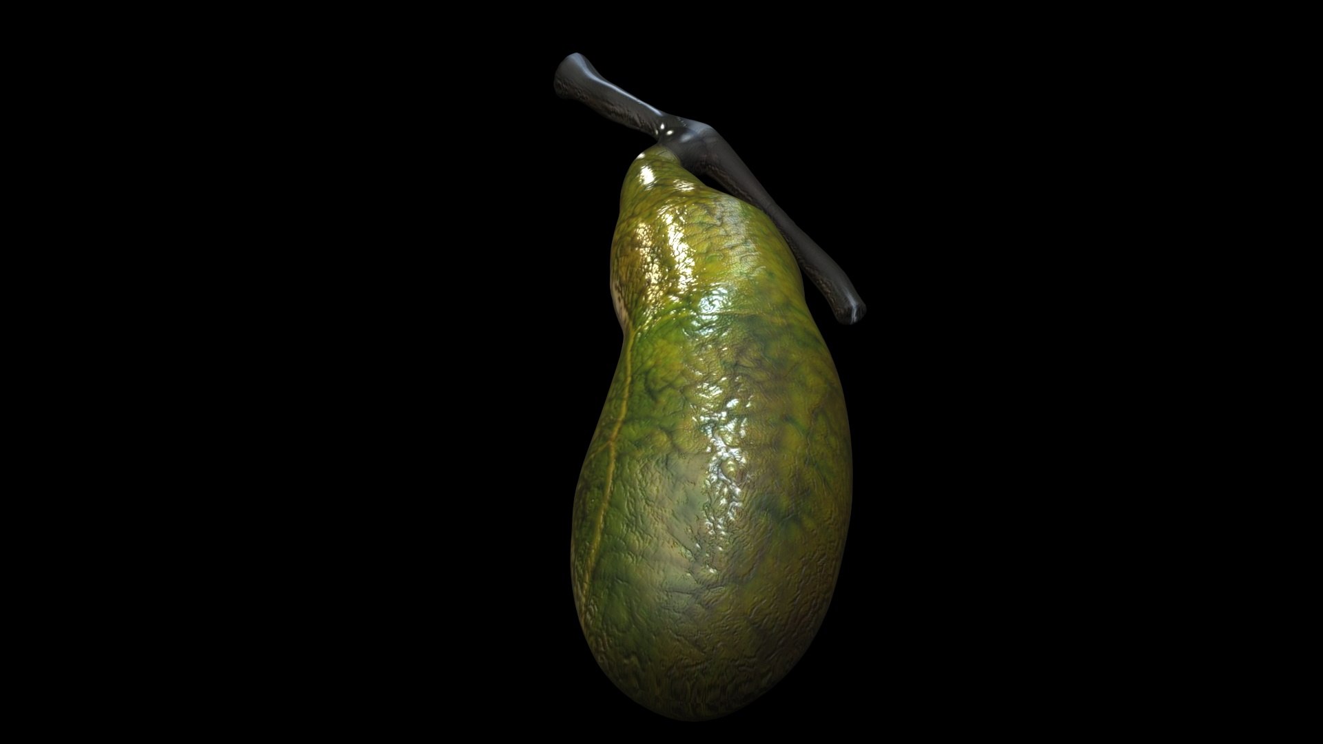 3D Gallbladder Model - TurboSquid 2267349