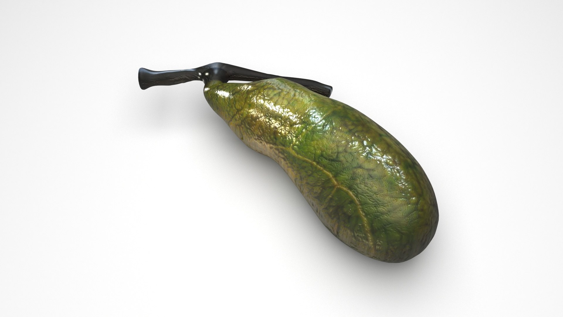 3D Gallbladder Model - TurboSquid 2267349