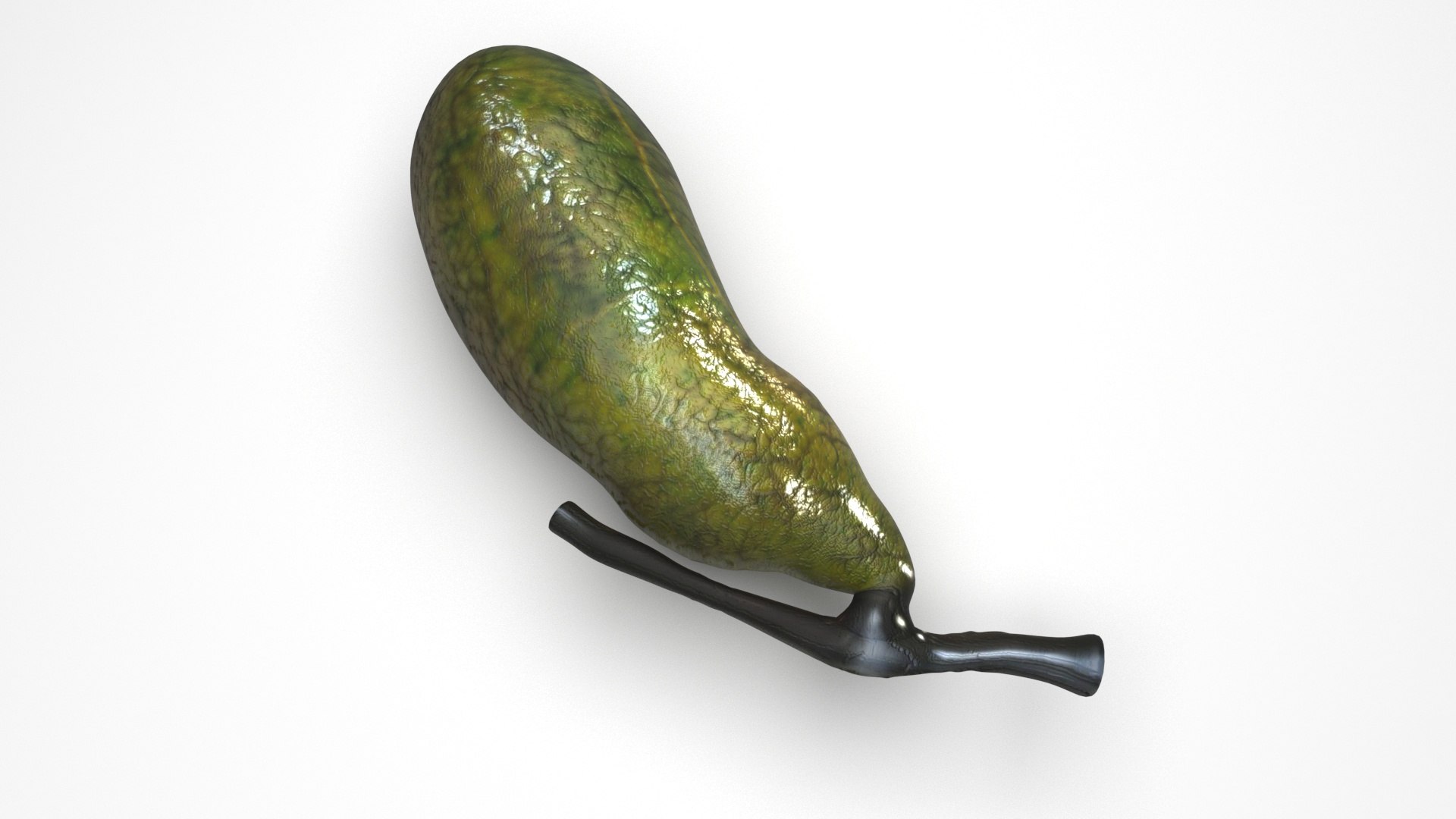3D Gallbladder Model - TurboSquid 2267349