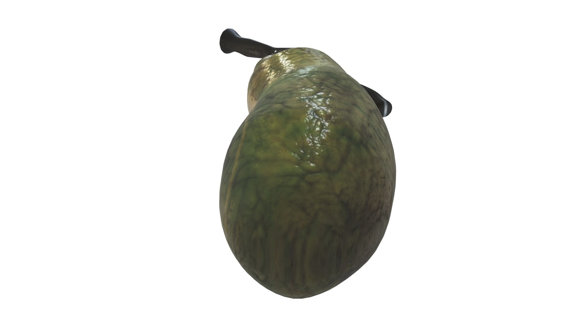 3D Gallbladder Model - TurboSquid 2267349
