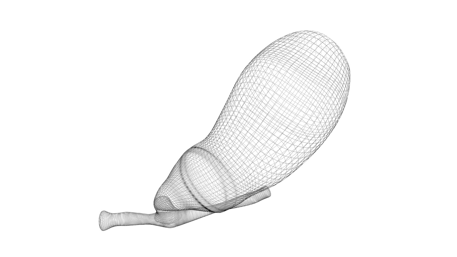 3D Gallbladder Model - TurboSquid 2267349