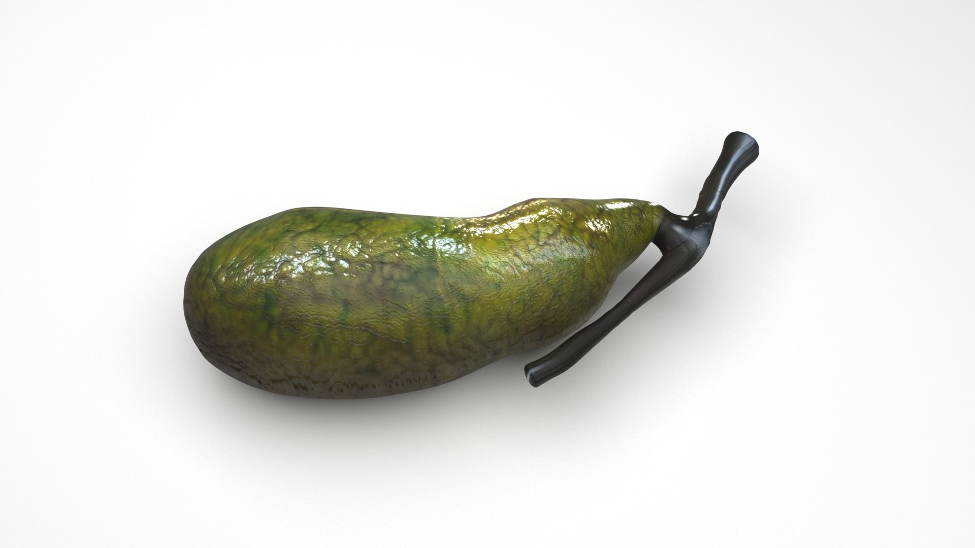 3D Gallbladder Model - TurboSquid 2267349