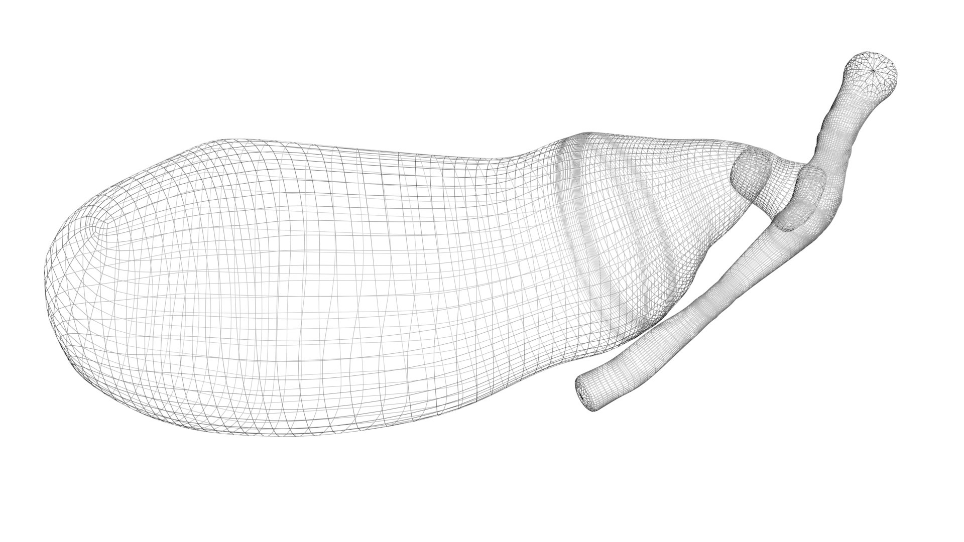 3D Gallbladder Model - TurboSquid 2267349