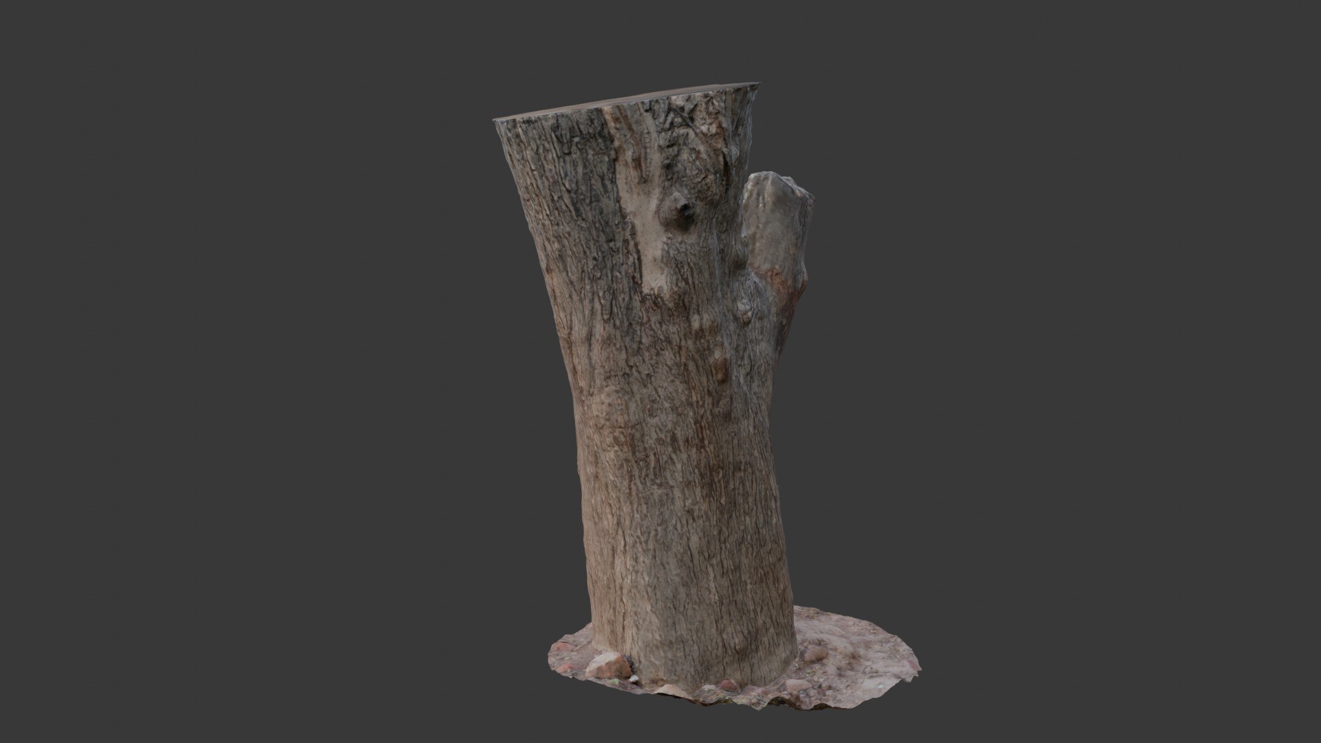 3D Model Tree Trunk Scan - TurboSquid 2386063