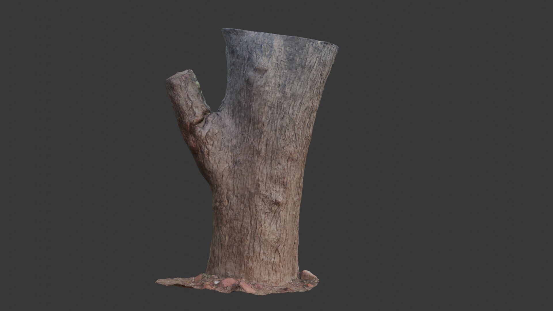 3D Model Tree Trunk Scan - TurboSquid 2386063