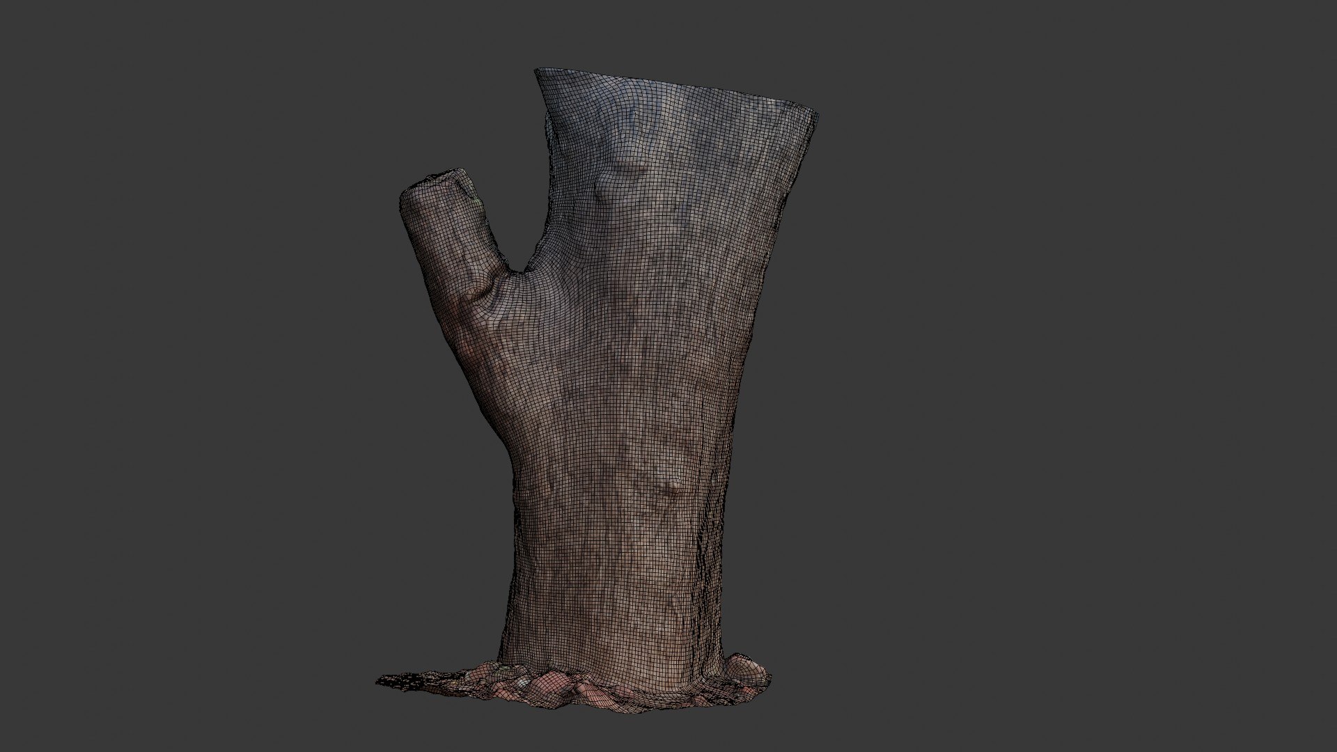 3D Model Tree Trunk Scan - TurboSquid 2386063