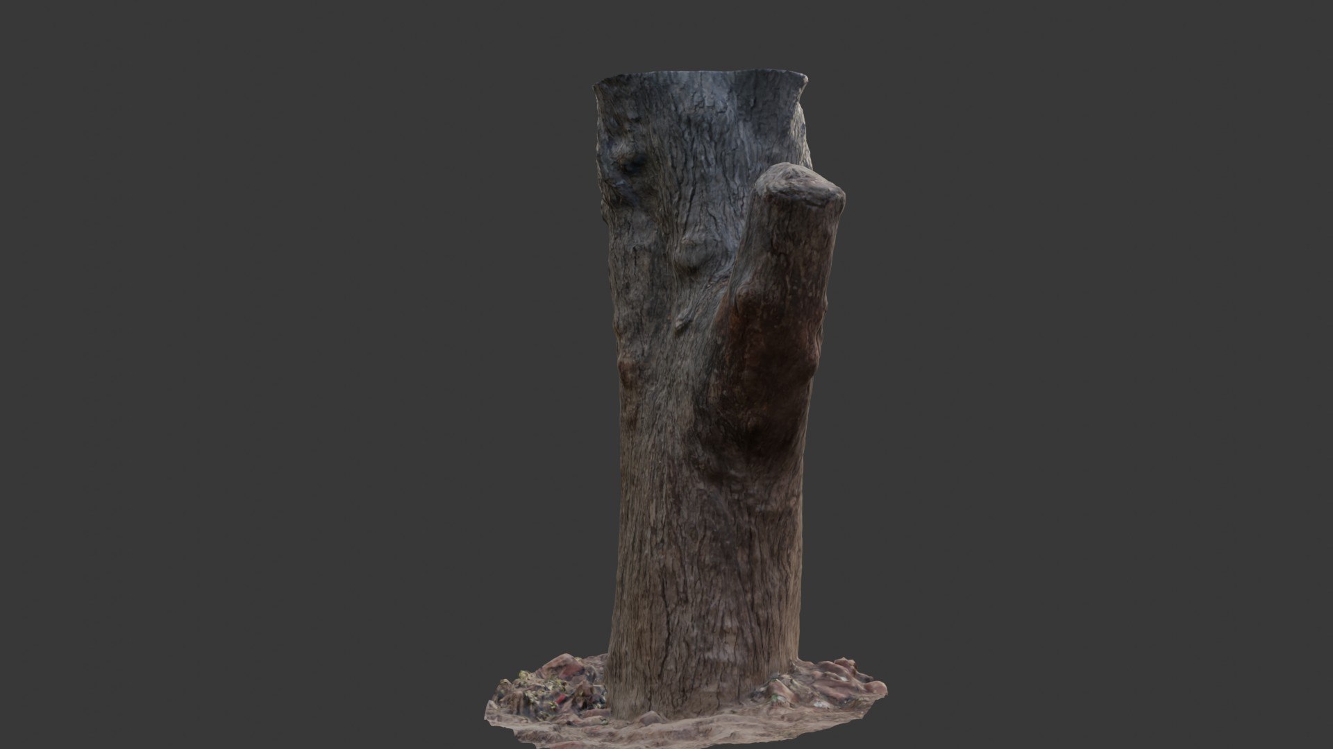 3D Model Tree Trunk Scan - TurboSquid 2386063