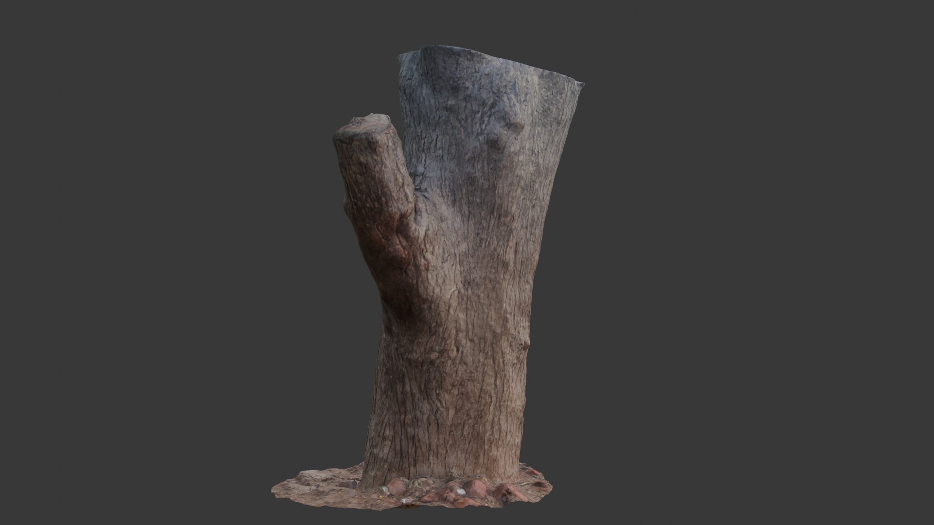 3D Model Tree Trunk Scan - TurboSquid 2386063