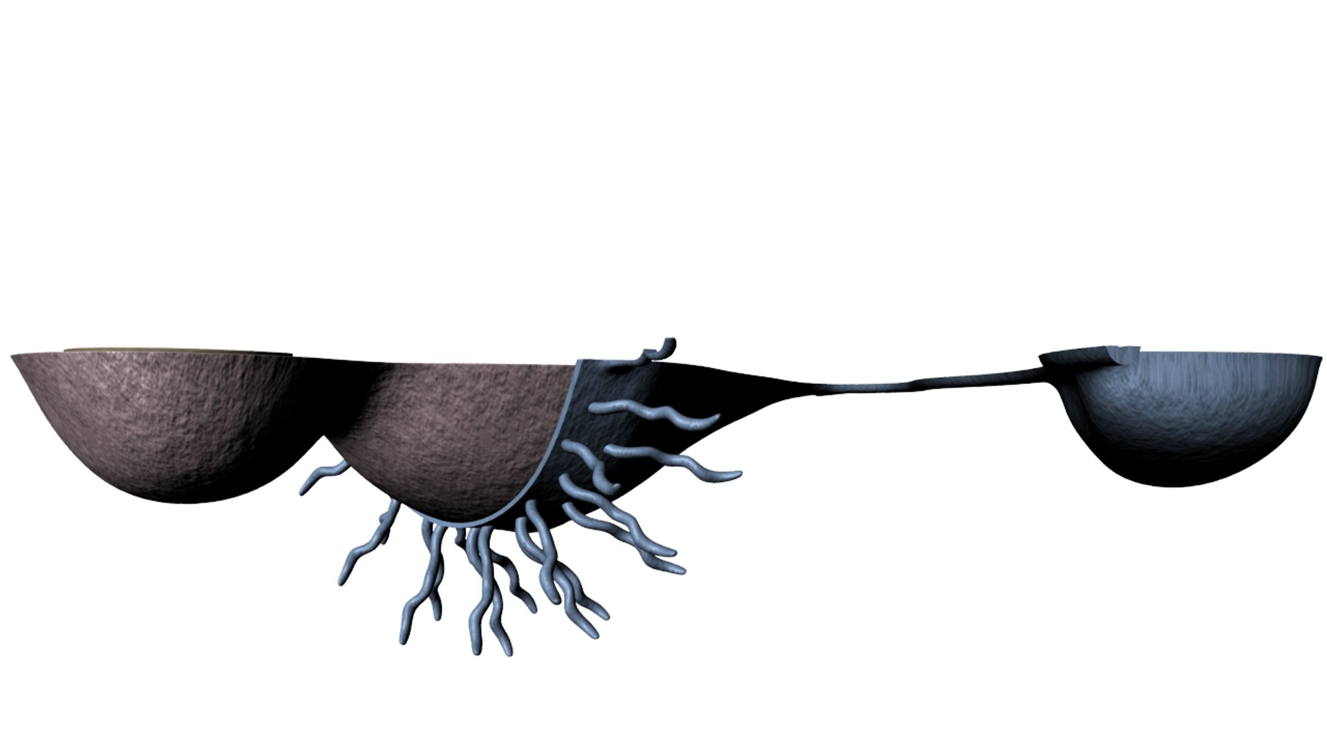 Flame Cell 3d Obj