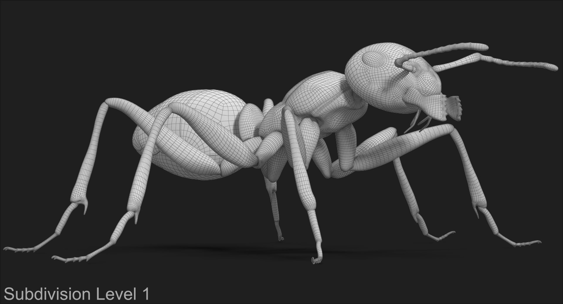 3d Ant Pose 3