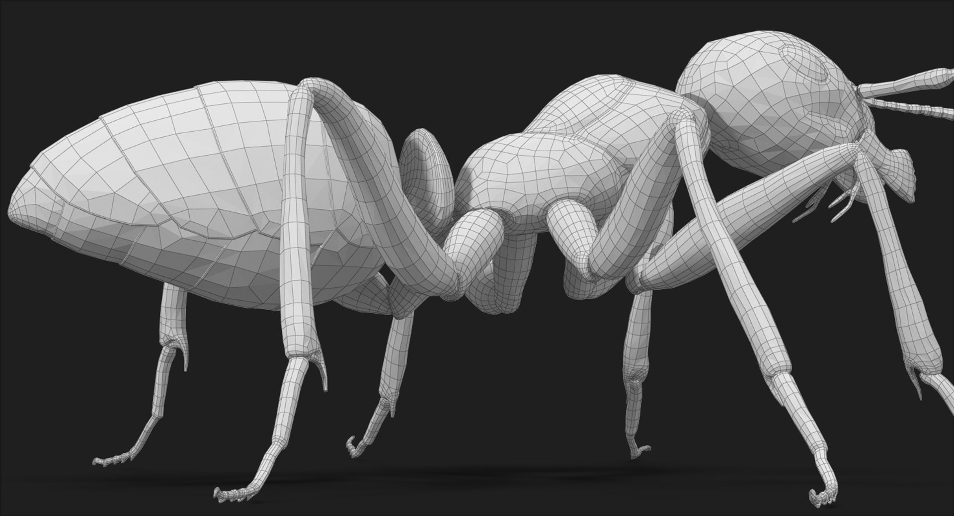 3d ant pose 3