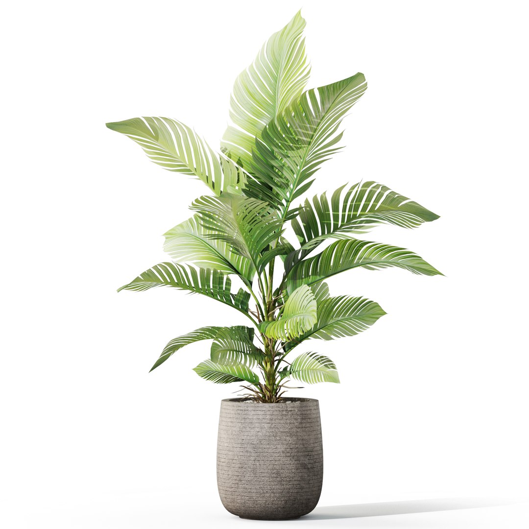3D Plants Collection 1064 - TurboSquid 2213885