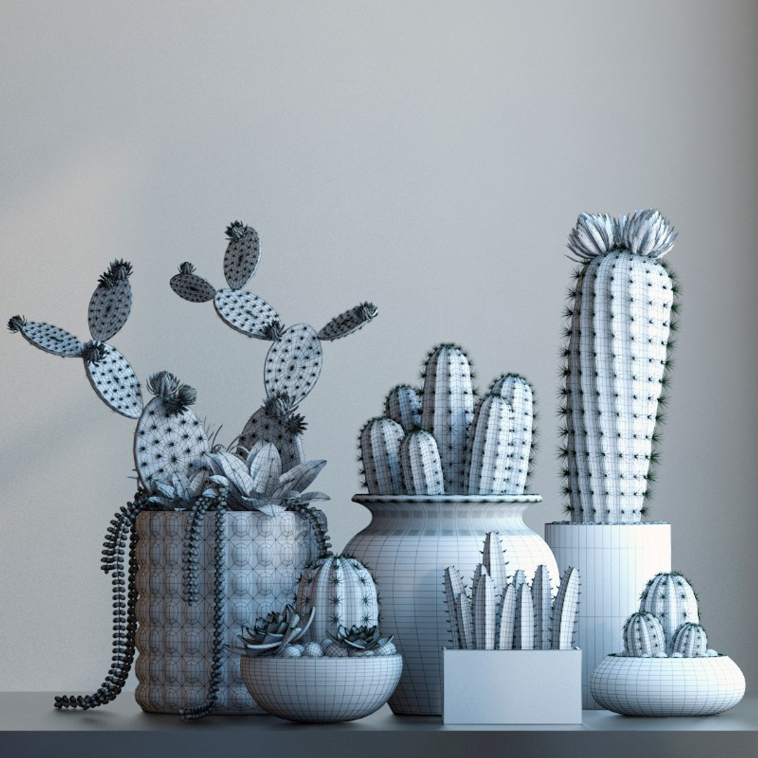 Cactus 3d Model
