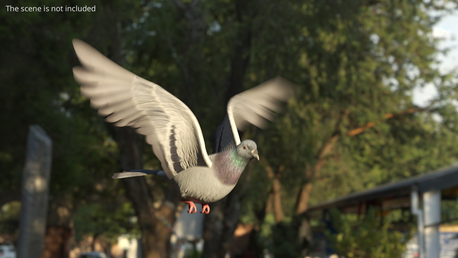 Low Poly Pigeon Flying Animated Rigged For Maya 3D - TurboSquid 2502909