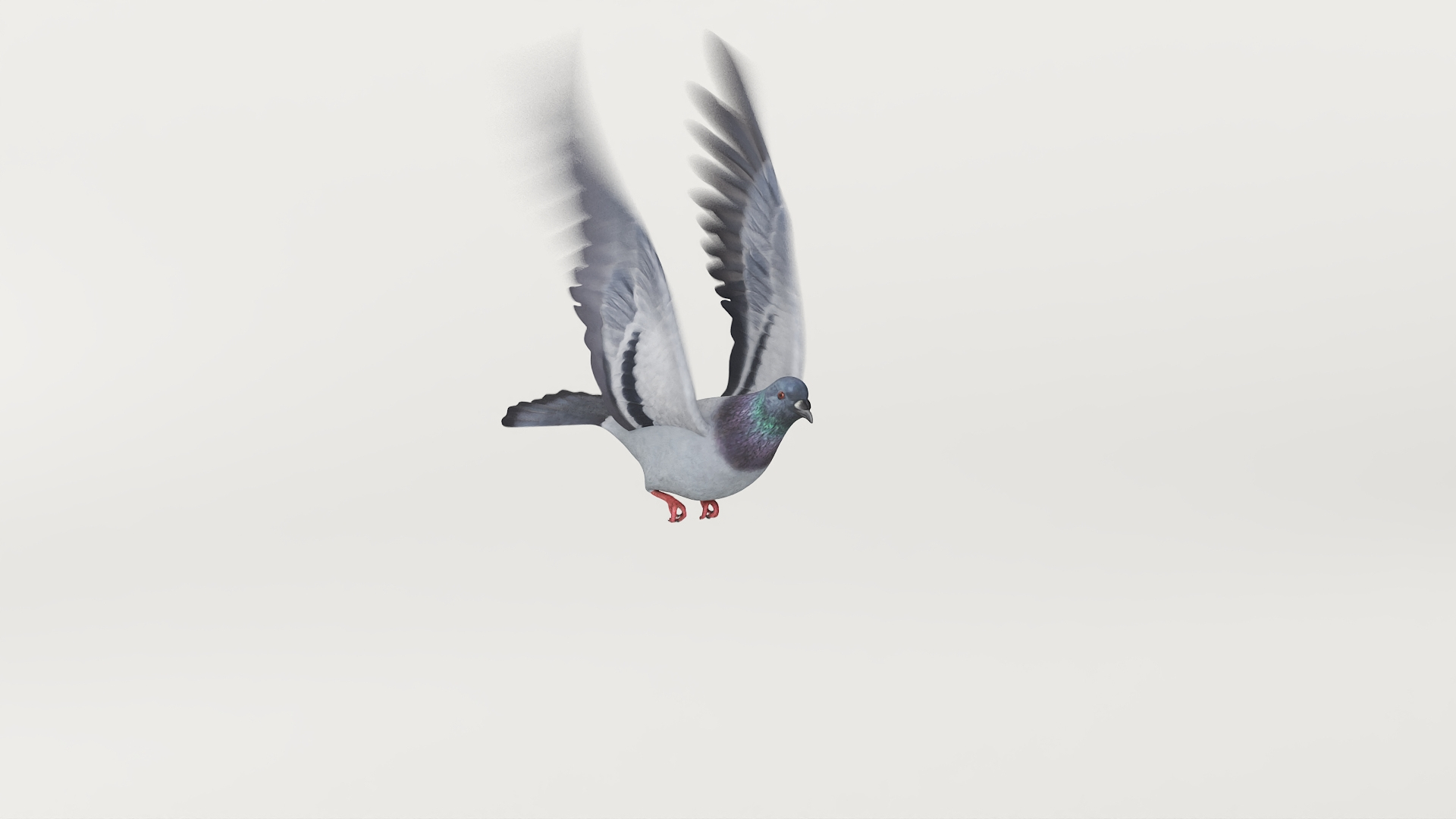 Low Poly Pigeon Flying Animated Rigged For Maya 3D - TurboSquid 2502909