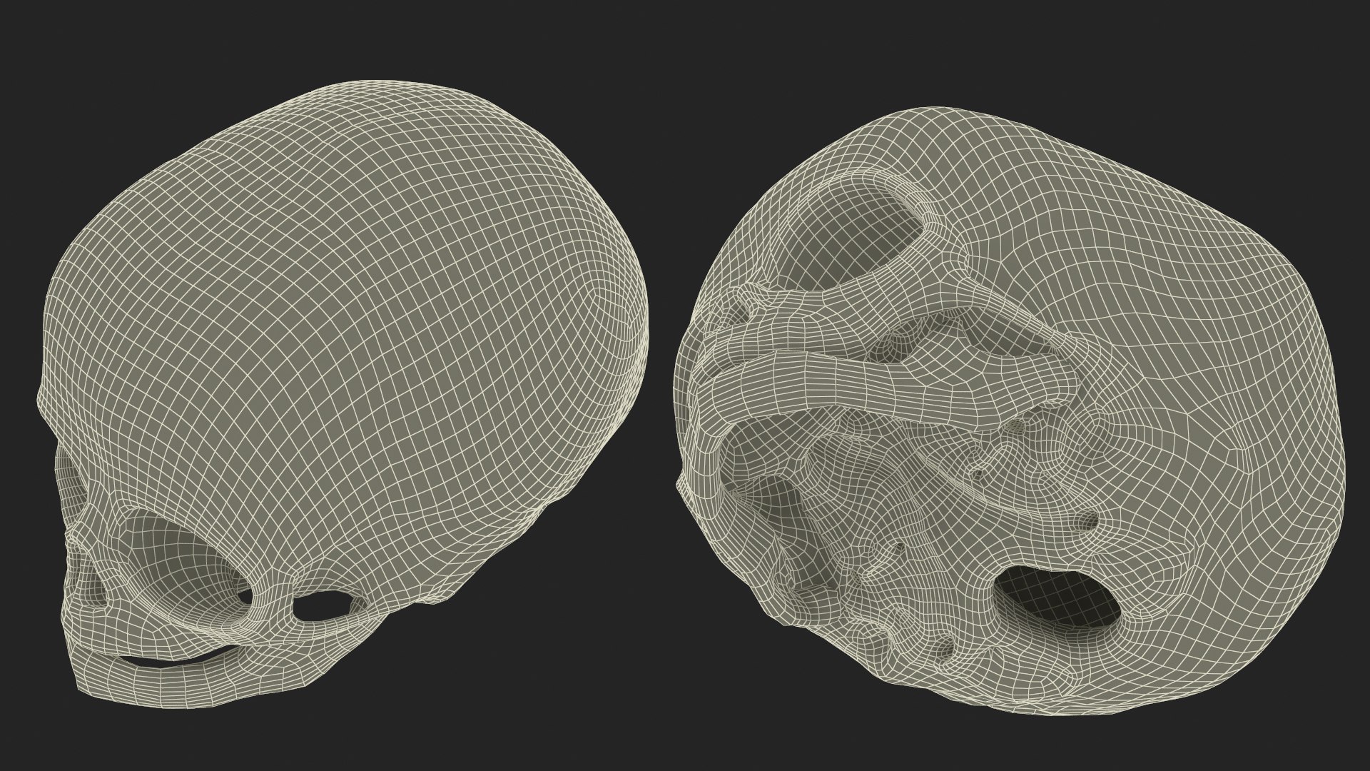 3D Human Fetal Cranium 40 Weeks Rigged - TurboSquid 2409986