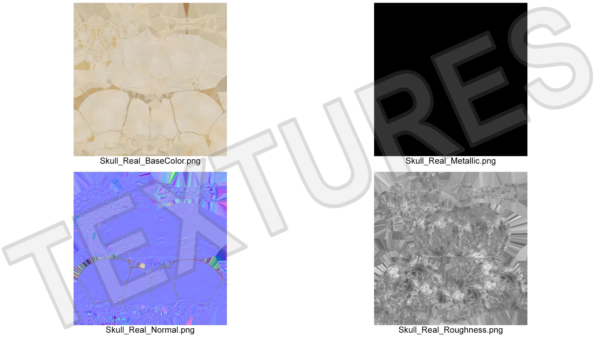 3D Human Fetal Cranium 40 Weeks Rigged - TurboSquid 2409986