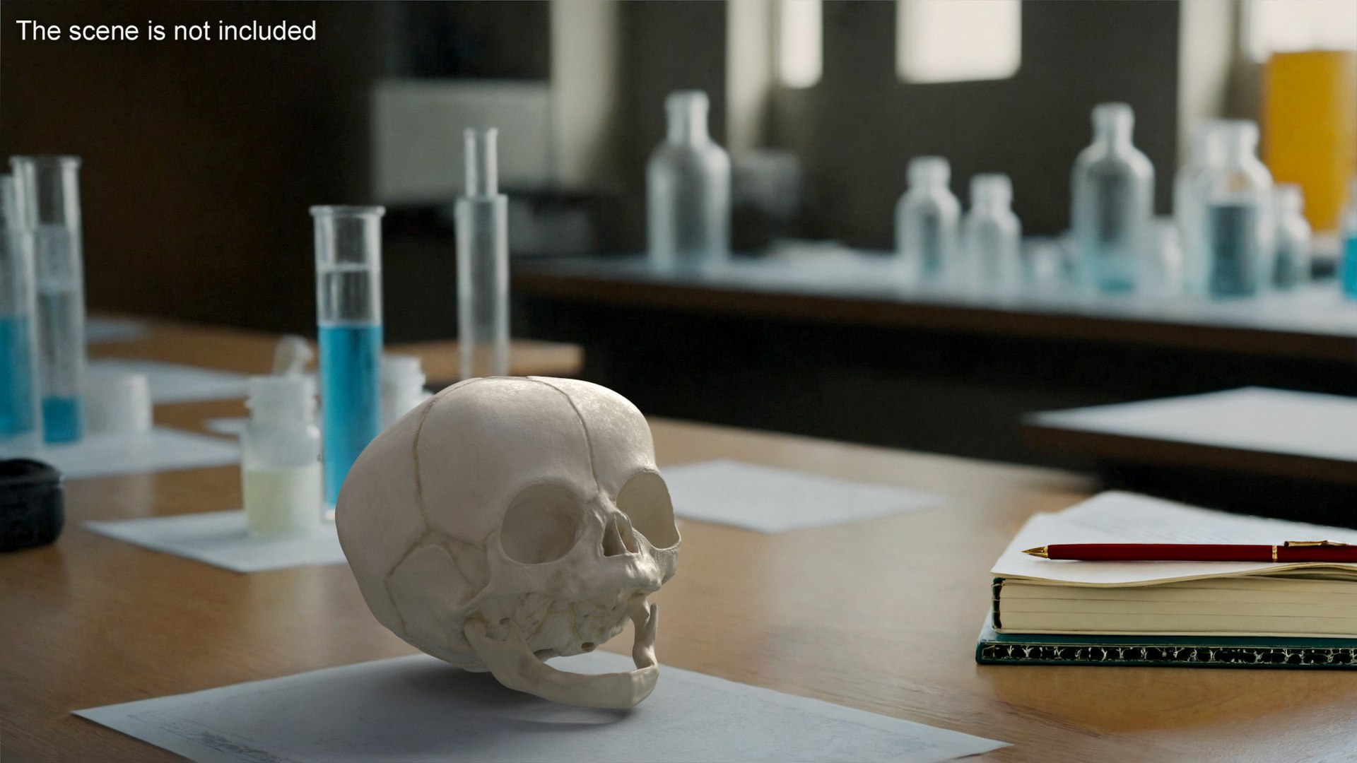 3D Human Fetal Cranium 40 Weeks Rigged - TurboSquid 2409986