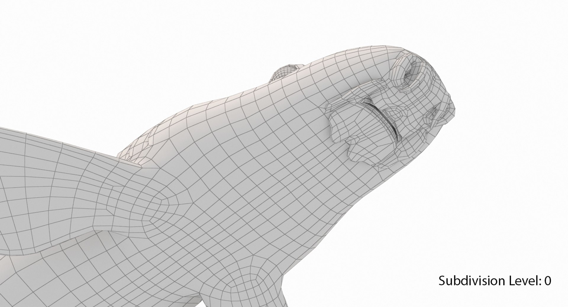 3D epaulette shark animation - TurboSquid 1174574