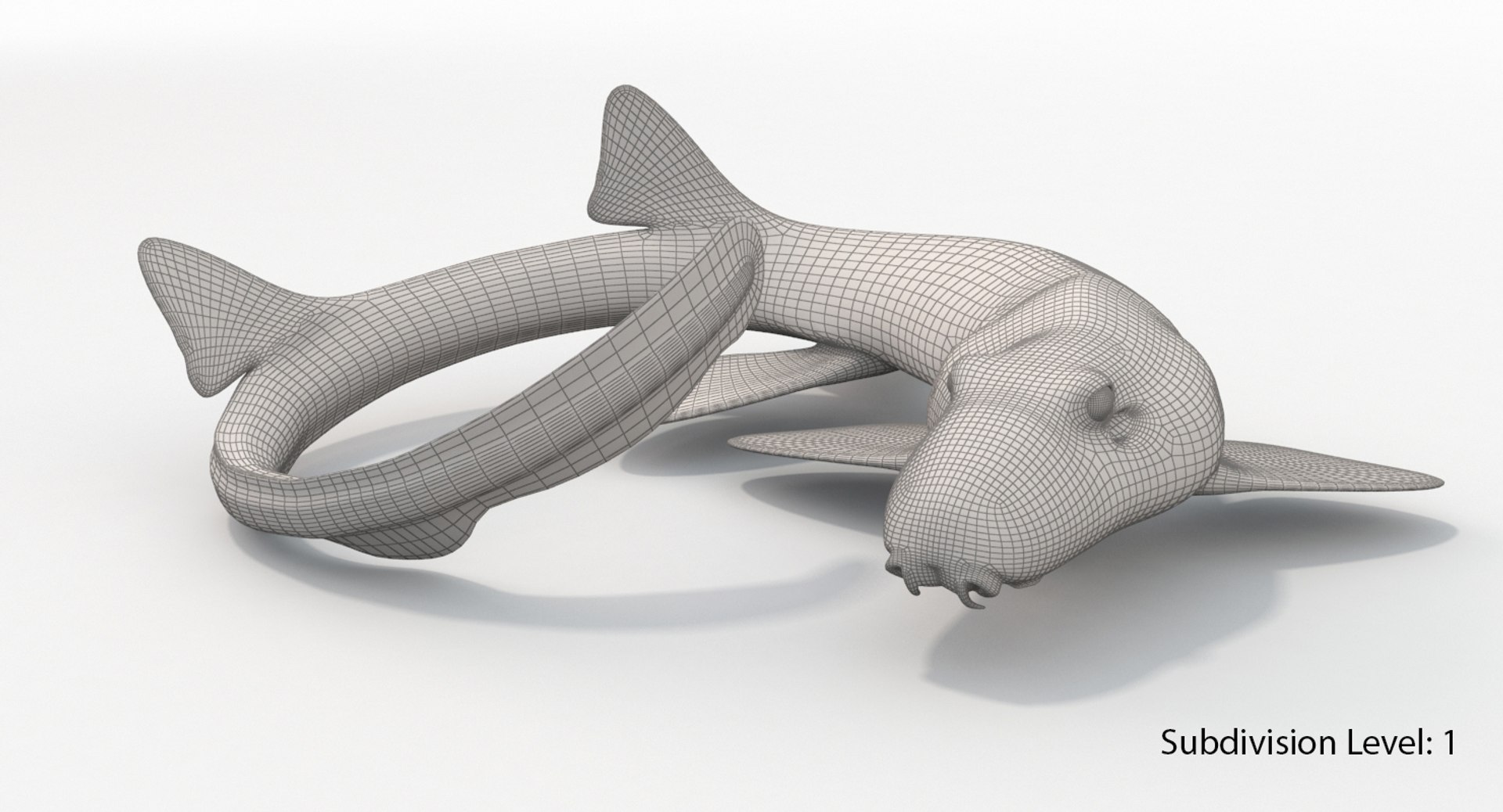 3D epaulette shark animation - TurboSquid 1174574