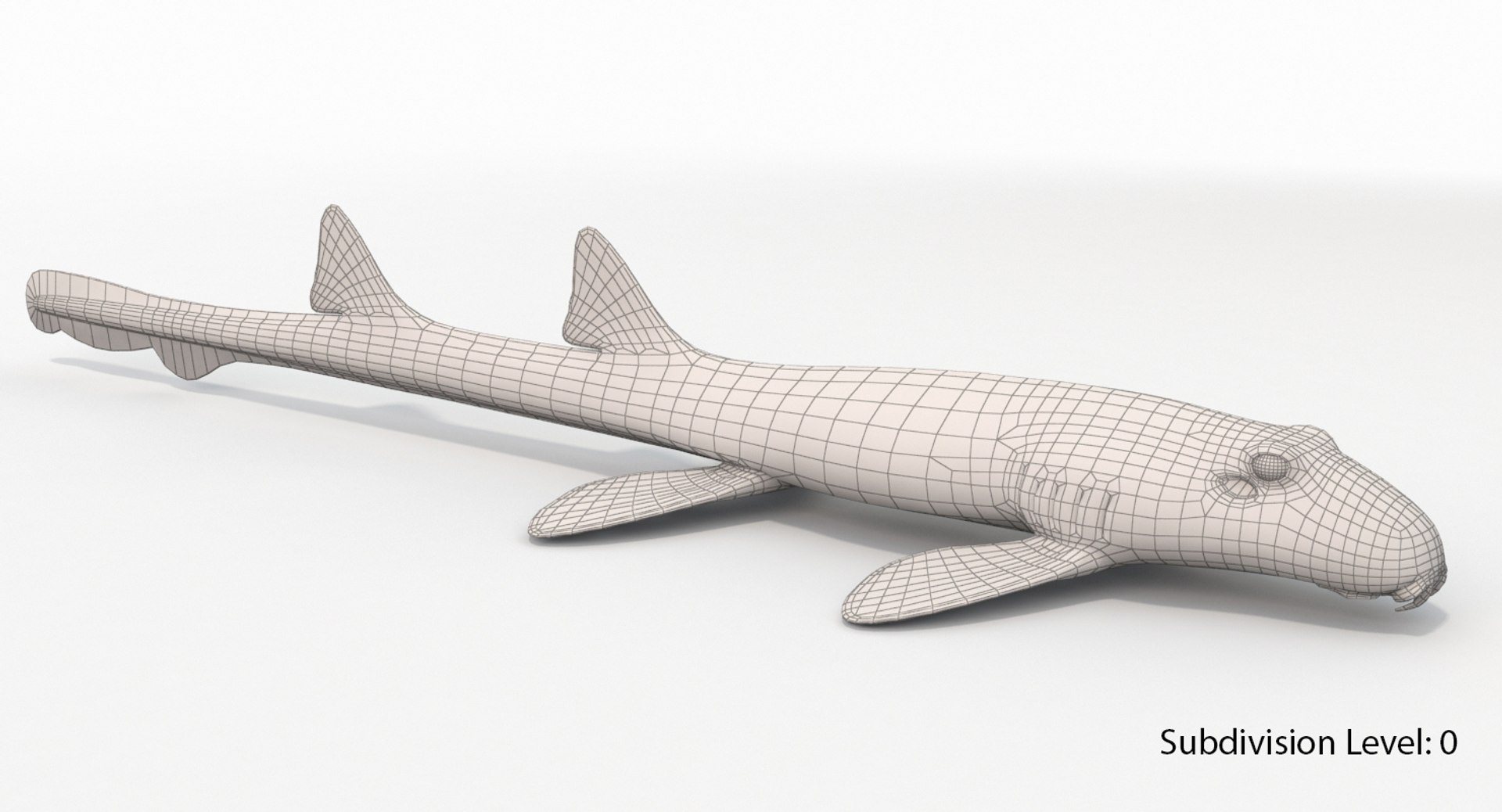 3D epaulette shark animation - TurboSquid 1174574