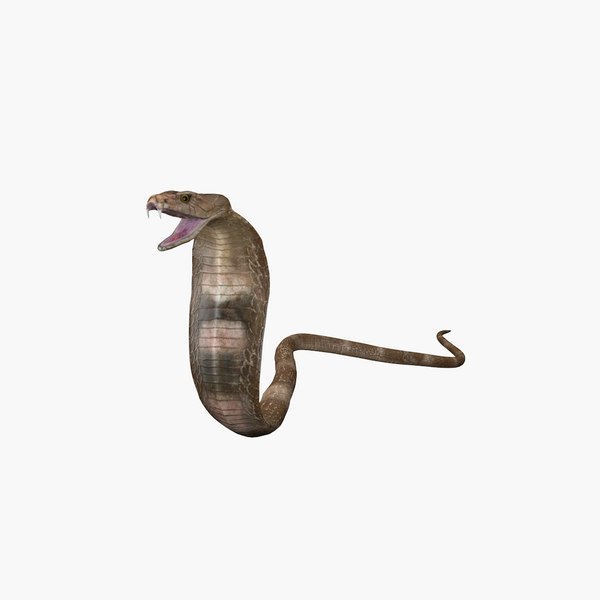 Snake Serpent 3D Models for Download | TurboSquid