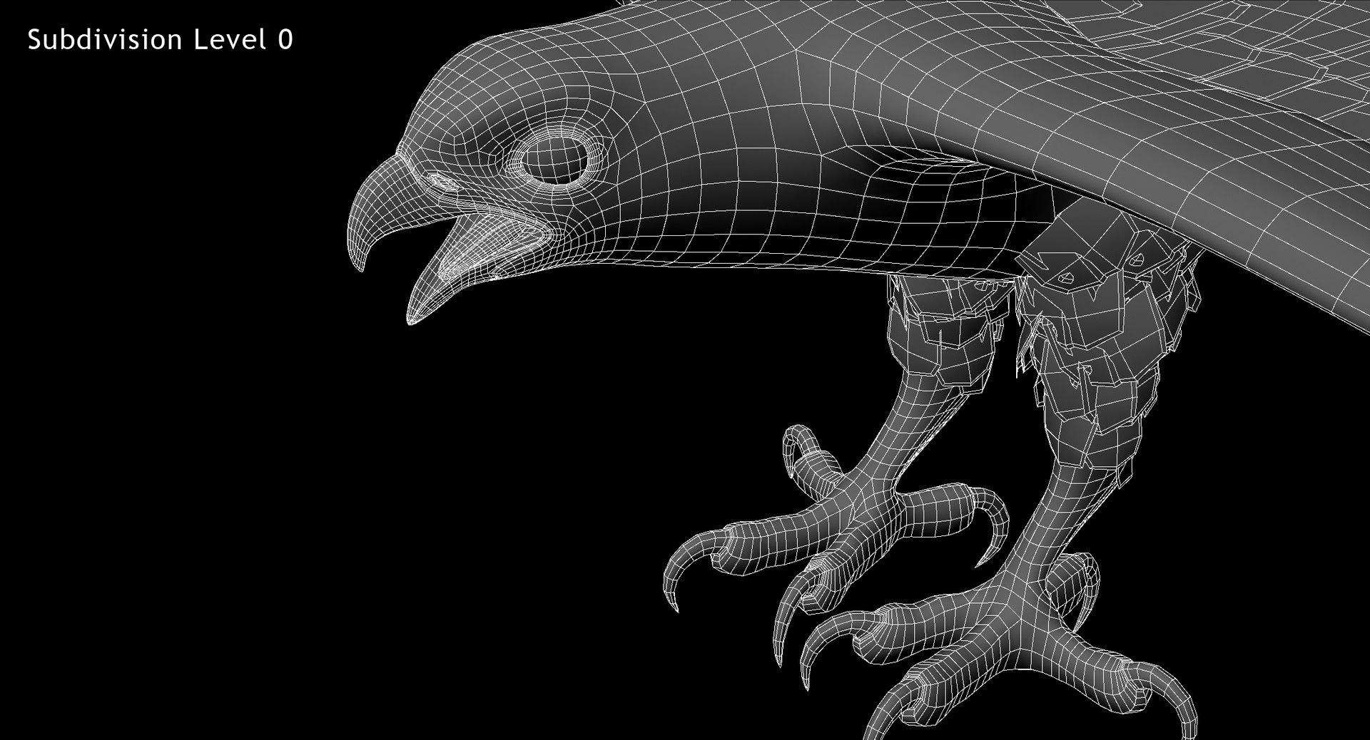 Pandion Haliaetus Osprey Animation 3d Ma