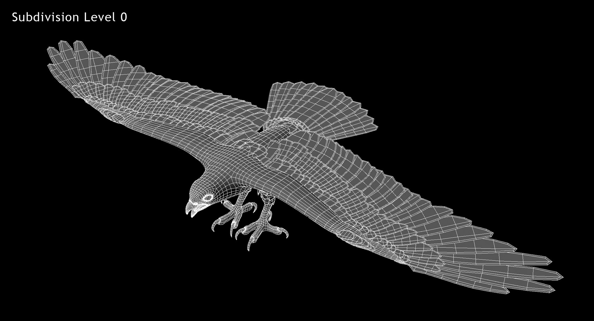 Pandion Haliaetus Osprey Animation 3d Ma