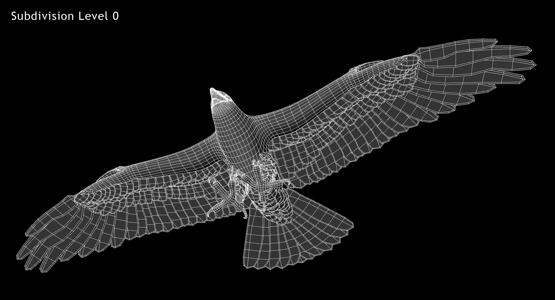 Pandion Haliaetus Osprey Animation 3d Ma