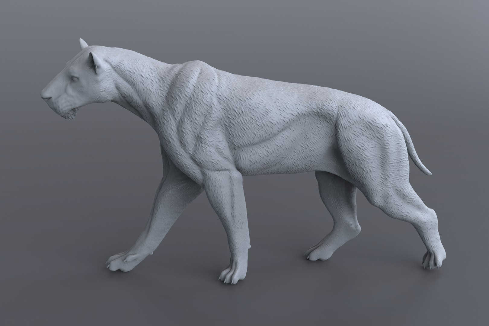 3D Homotherium 3d Print Model - TurboSquid 2279724