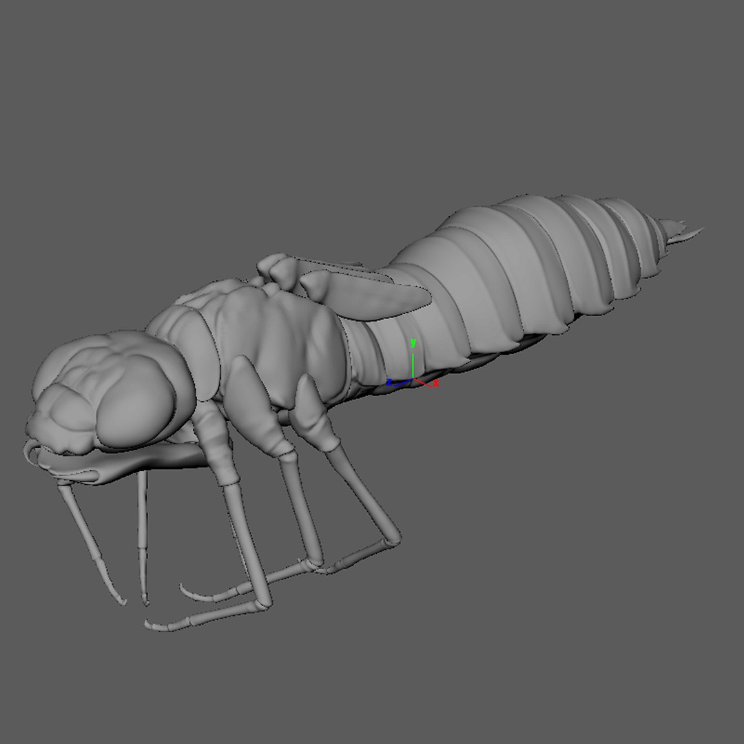 3D Model Molt Anax Imperator - TurboSquid 2074547