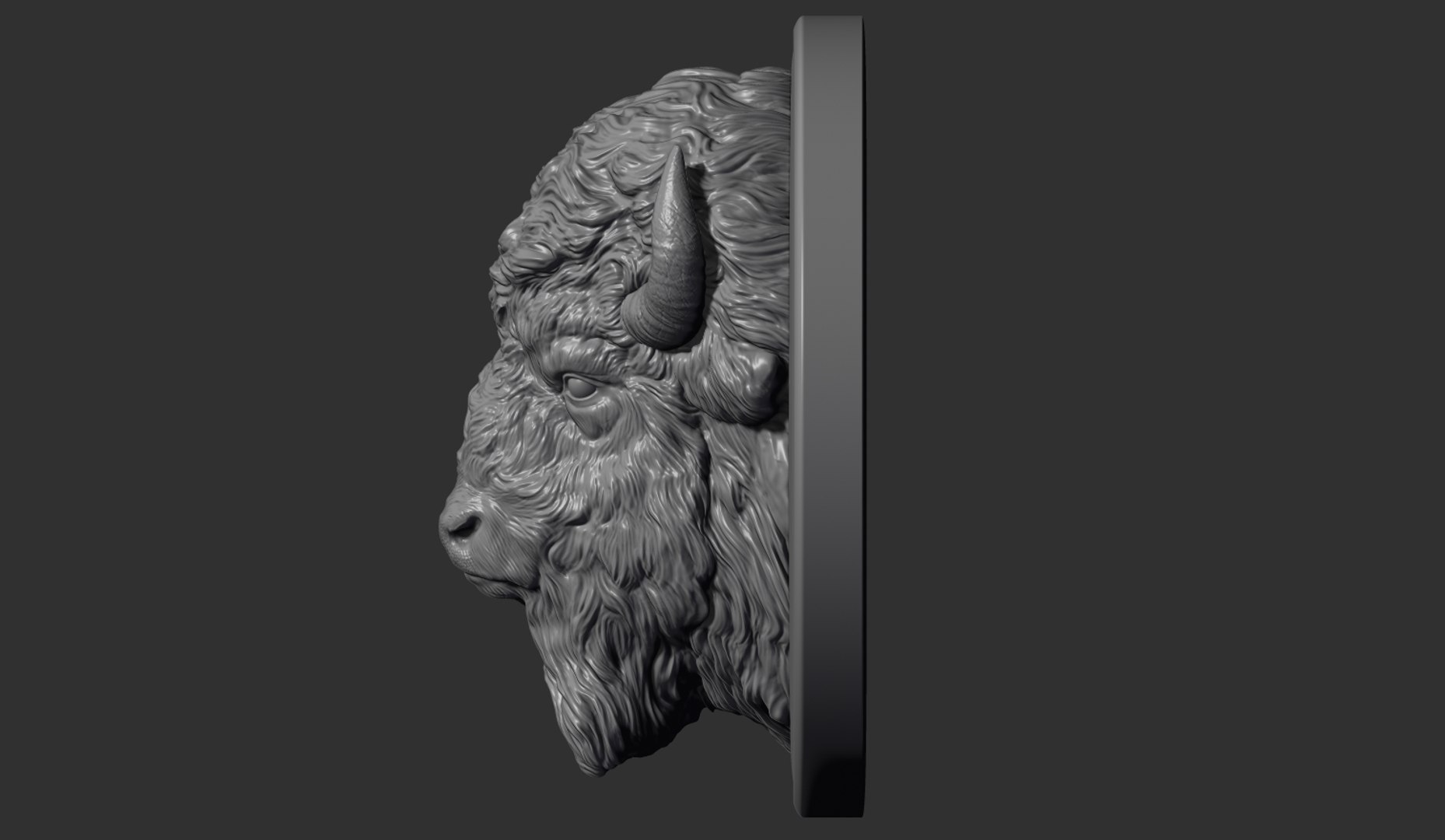 3D Bison Head Model - TurboSquid 1782361
