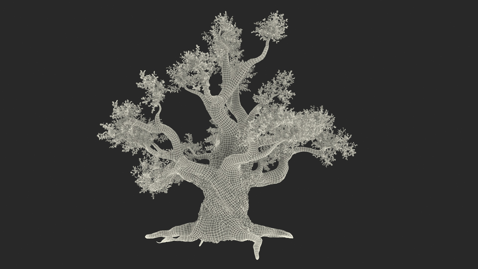 Old Twisted Oak Tree 3D Model - TurboSquid 1549631