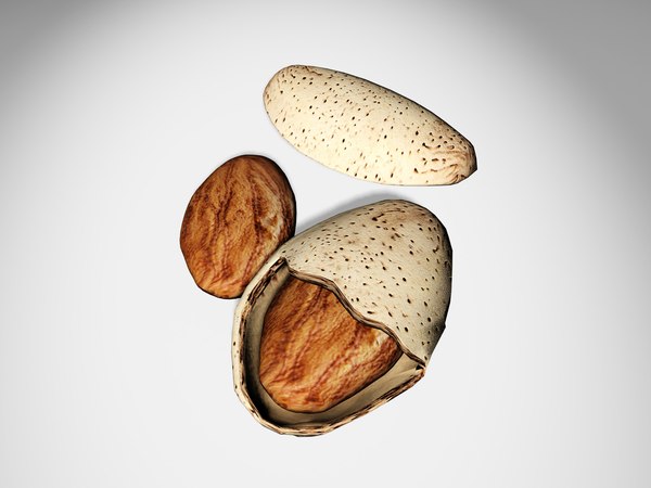3d model almonds
