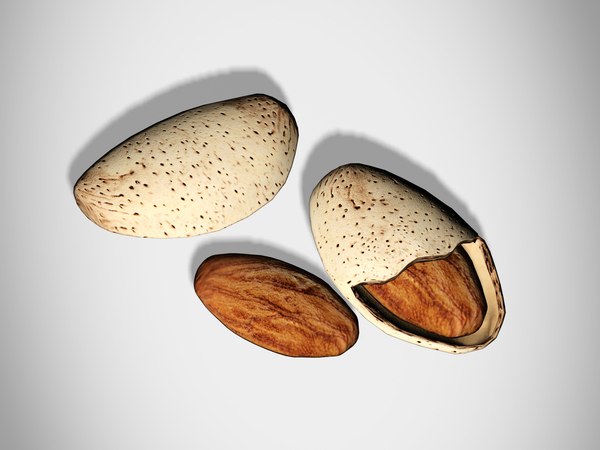 3d model almonds