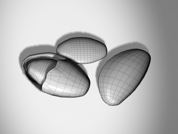 3d model almonds
