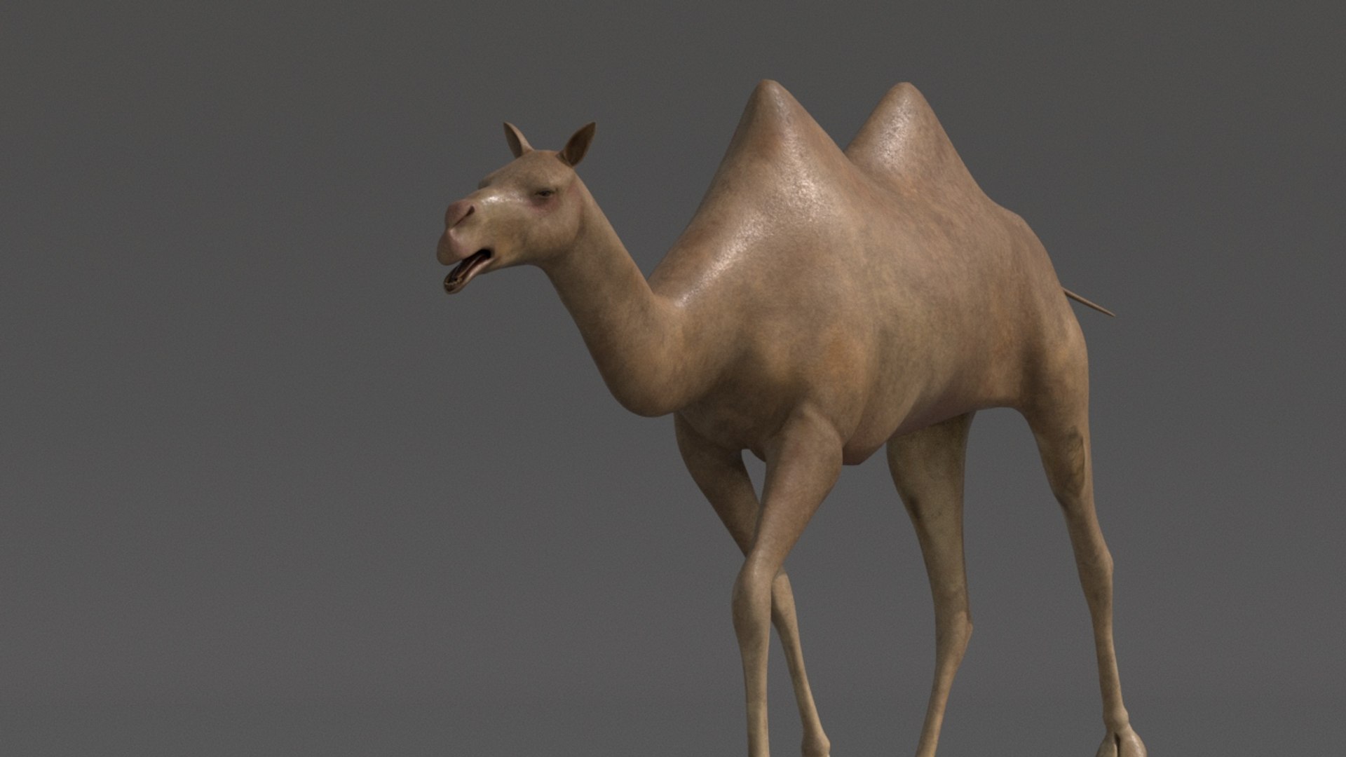 Camel Vr Games 3D Model - TurboSquid 1306396
