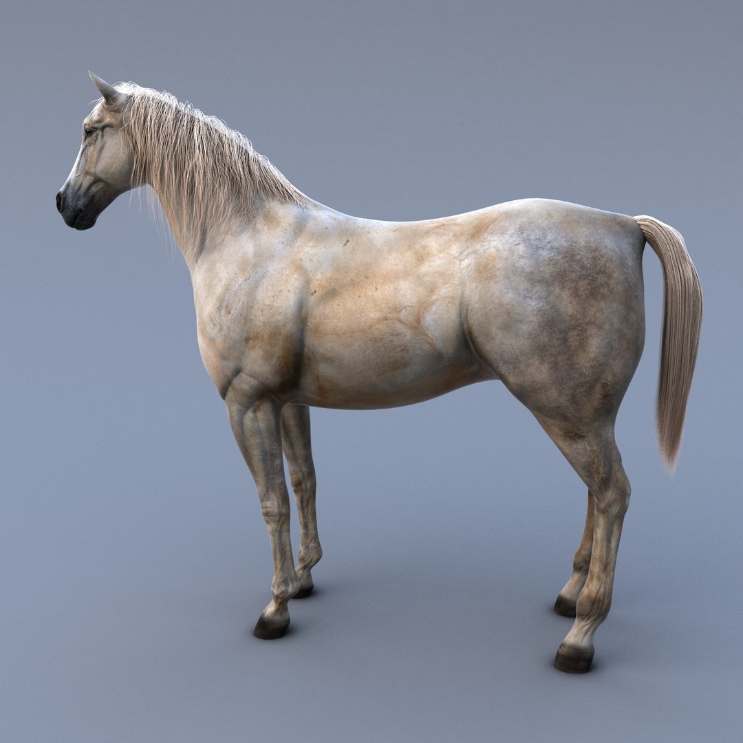 Ma Realistic Horse Rig
