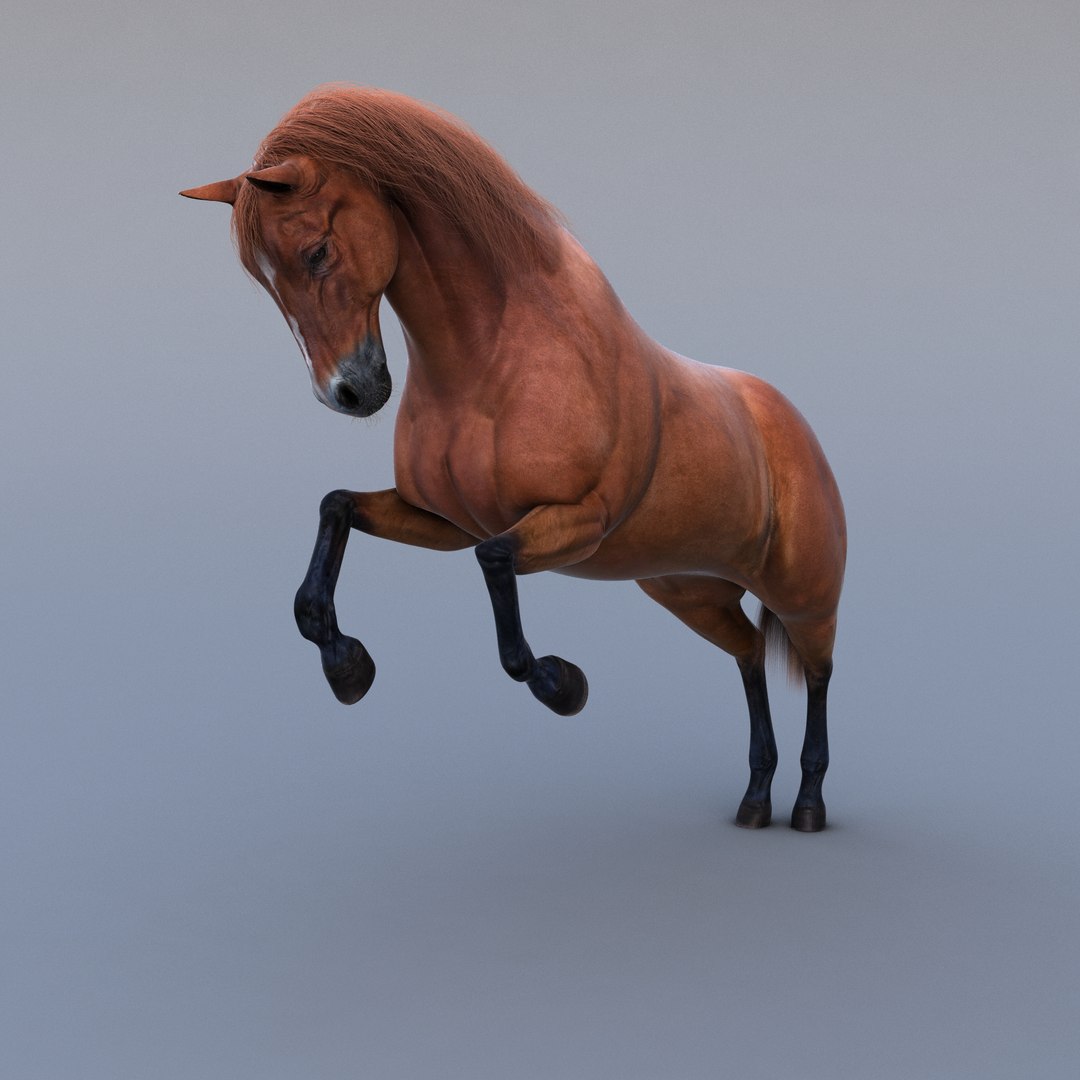 Ma Realistic Horse Rig