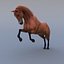 Ma Realistic Horse Rig