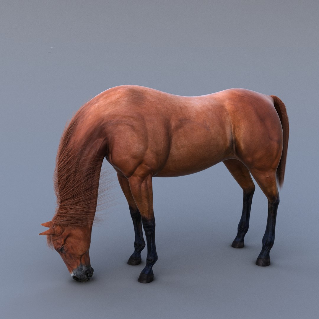 Ma Realistic Horse Rig